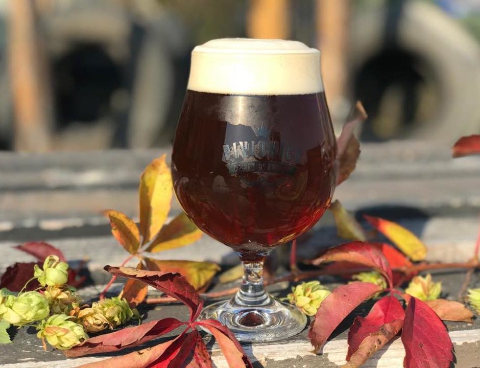 Brown IPA – Pivionica